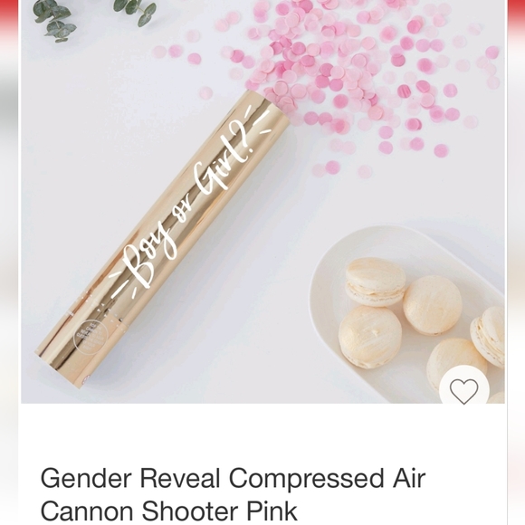 Ginger Ray | Party Supplies | Gender Reveal Compressed Cannon Shooter ...